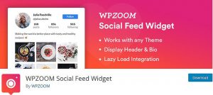6 + Best WordPress Instagram Feeds Plugins 2026 - WPAnything